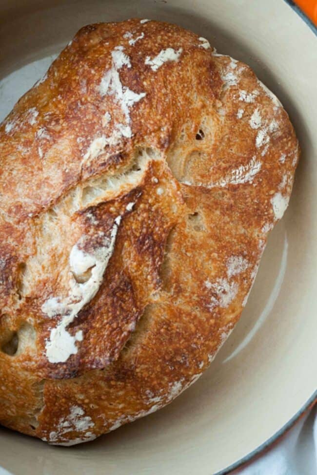 Easy No Knead Artisan Bread (Dutch Oven) - Farmgirl Gourmet